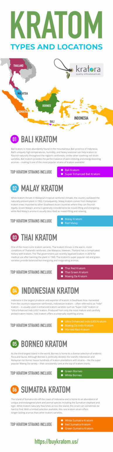 Kratom Strains Guide: Types of Kratom & Location Strain Chart | Kratora